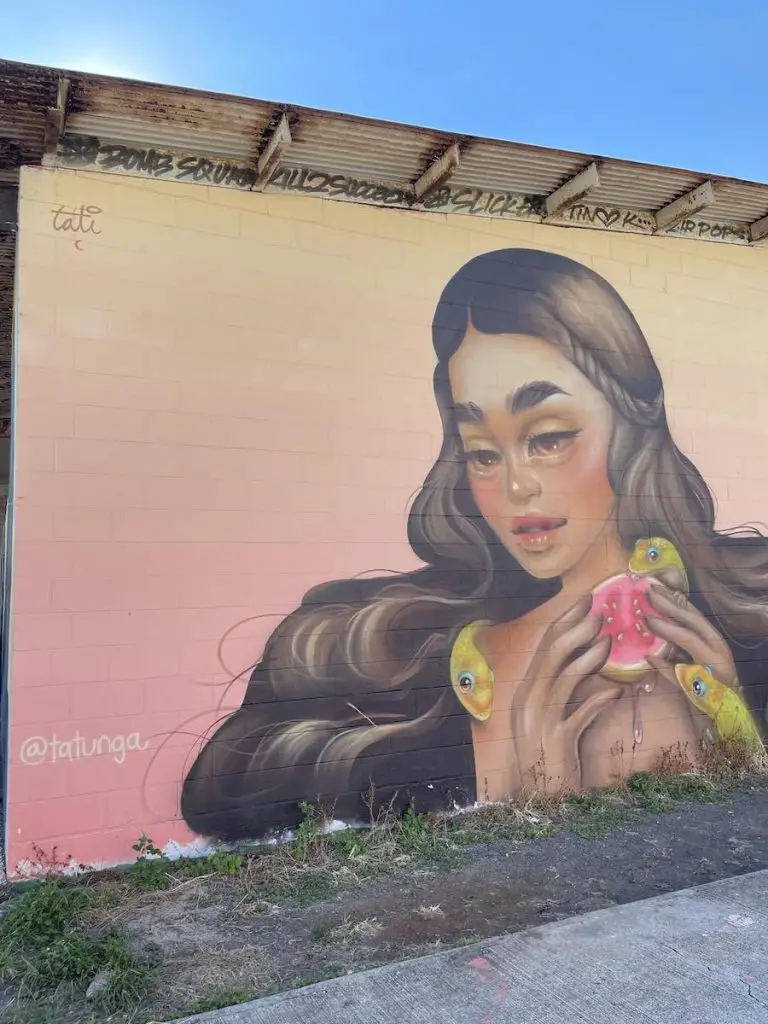 Exploring the Kakaako Mural Art Scene: A Vibrant Kaleidoscope of Urban ...